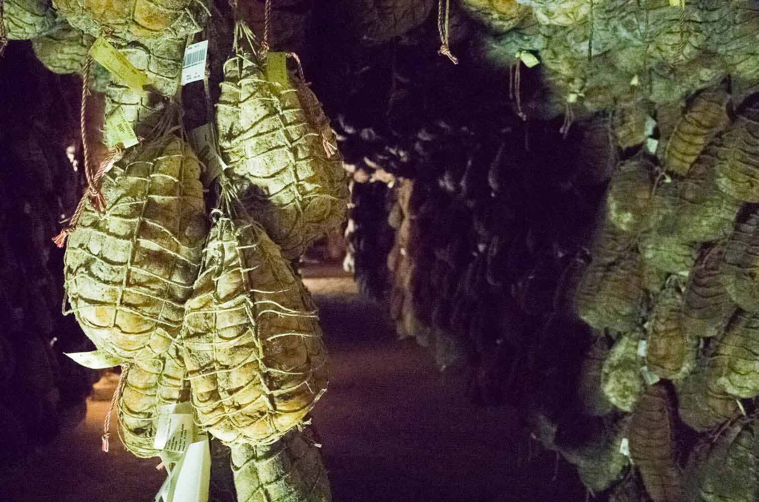 Antica Corte Pallavicina: The Cradle of Culatello – Taste Bologna