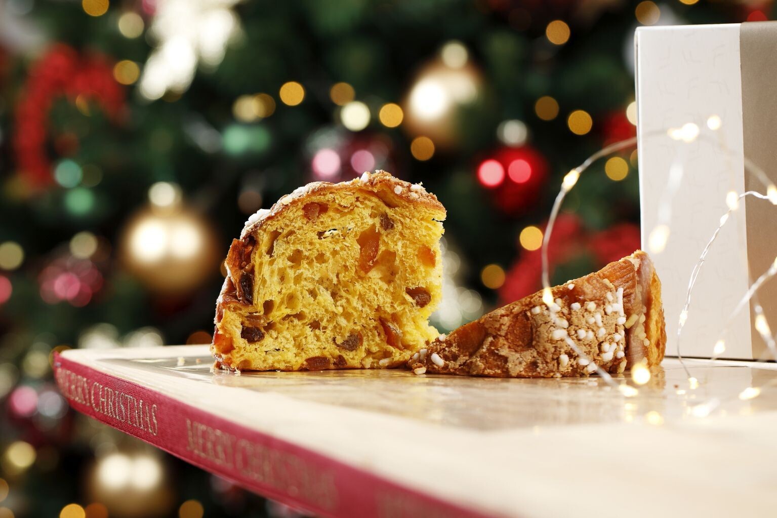 The best panettone in Bologna – Taste Bologna