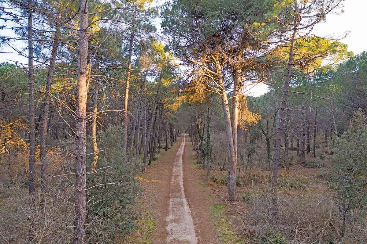 Things to do in Ravenna: 10 ideas + maps and itinerary (2025) – Taste ...